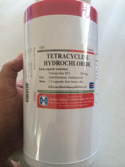 Tetracycline 250 mg 1000 capsules in bottle – vitoonmeds